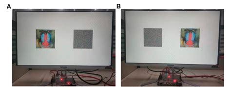 figure 17 from design and fpga implementation of a pseudo random number generator based on a