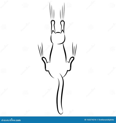 Un Gato De Caricatura Colgando De La Pared O De Las Cortinas Dibujo