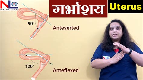 Uterus In Hindi Female Reproductive System Nursing Lecture YouTube