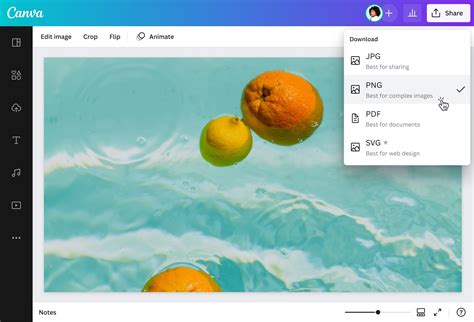 Conversor WebP para PNG Online Grátis Canva