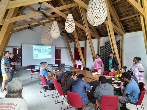 Des élèves présentent à la mairie leurs travaux de suivi du trait de