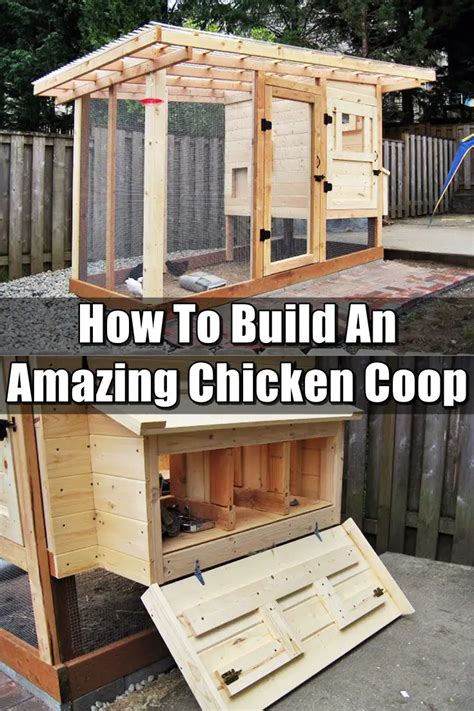 25 How To Build An A Frame Chicken Coop PNG