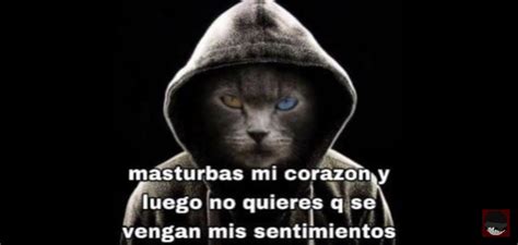 Frío y sin sentimientos Meme subido por ElJuanfamfo Memedroid