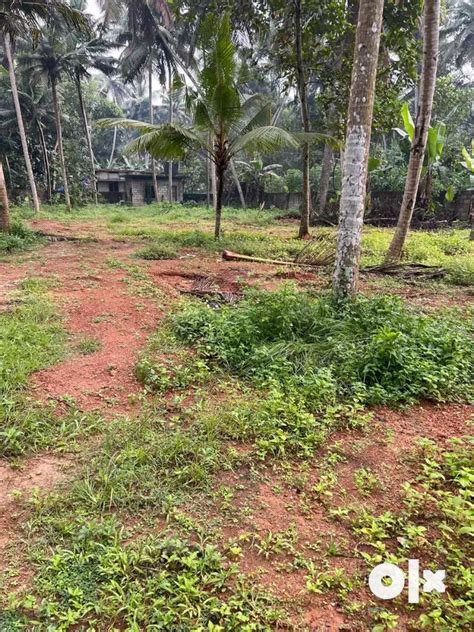 45 Cent Plot In Kerala Free Classifieds In Kerala OLX