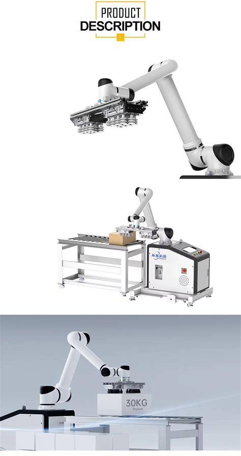 Fully Automatic Collaborative Palletizing Robot Factory Manufacture