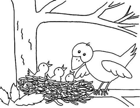Desenhos De Ninho Para Imprimir E Colorir Pintar