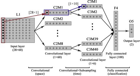 5 layer cnn architecture for mi classification download scientific diagram