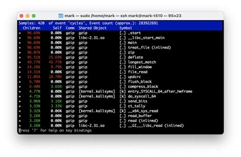 Linux Perf Profiler UIs