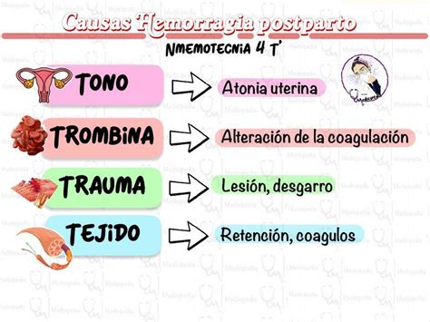 CAUSAS HEMORRAGIAS POSTPARTO Medicipedia UDocz
