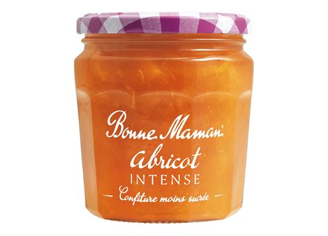 CONFITURE INTENSE D ABRICOTS 335g Andros FoodService