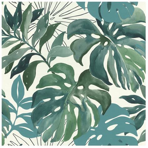 VINYLOVÁ TAPETA TAPETA MONSTERA LISTY KúpSiTo sk Tovar z Poľska