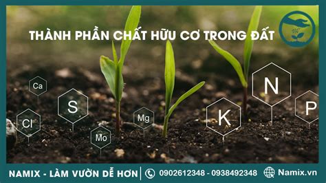 Chất hữu cơ trong đất gồm có Thành phần và vai trò của chúng