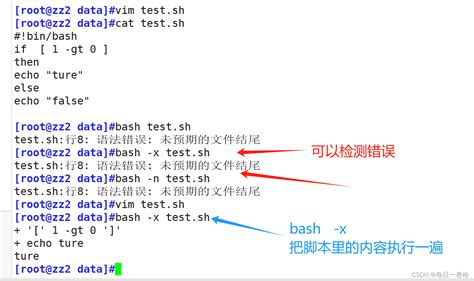 linux系统shell脚本 编程规范和变量详细解读（一） linux的shell脚本编程 csdn博客