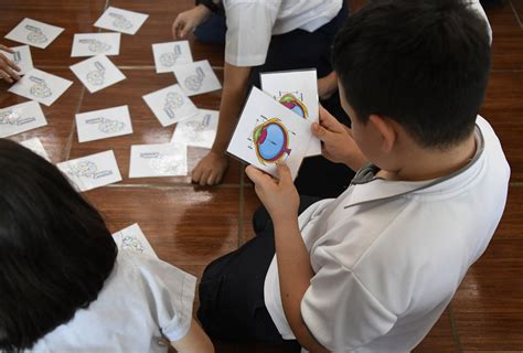 Cómo mejorar la educación primaria en Costa Rica Diario Digital
