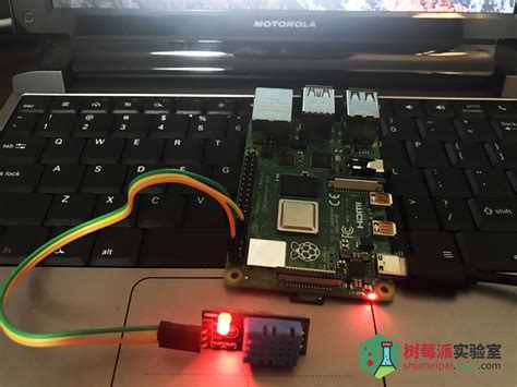 树莓派 dht11 温湿度传感器读取 c 语言版 树莓派实验室