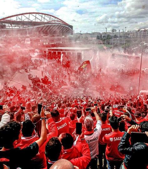 Big Love First Love Benfica Wallpaper Red Star Darwin Football