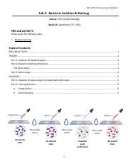 Bacterial Isolation Staining Techniques And Procedures For Course Hero