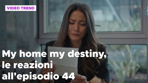 My Home My Destiny Il Riassunto E Le Reazioni Del 2 Novembre