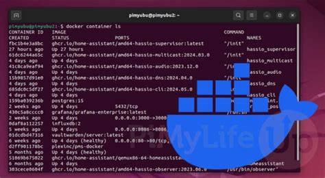How To List Docker Containers Pi My Life Up