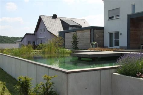 Tout Savoir Sur La Piscine Naturelle Mag Decofinder Piscine