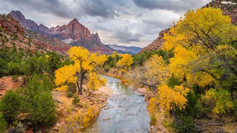 Jesień Góry Góra Watchman Rzeka Virgin River Drzewa Park Narodowy