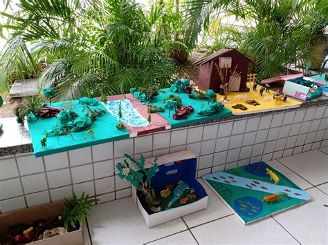 Alunos Do Ano Exp Em Maquetes Representando Os Biomas Brasileiros