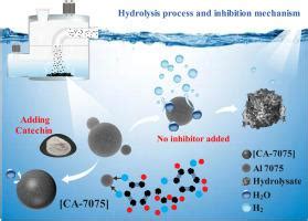 Performance Of Catechin As A Sustainable Green Inhibitor To Inhibit The