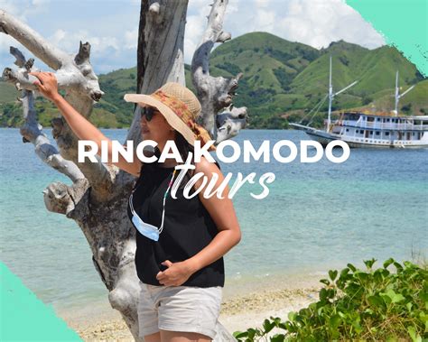 Trip Labuan Bajo Indonesia Flores Komodo Packages Bali Komodo Dragon