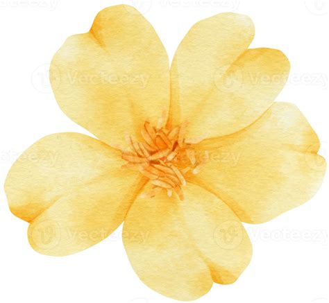 Recopilación imagen 200 flores amarillas png Abzlocal mx