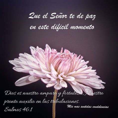 C Mo Dar El P Same Por Watsapp Frases Para