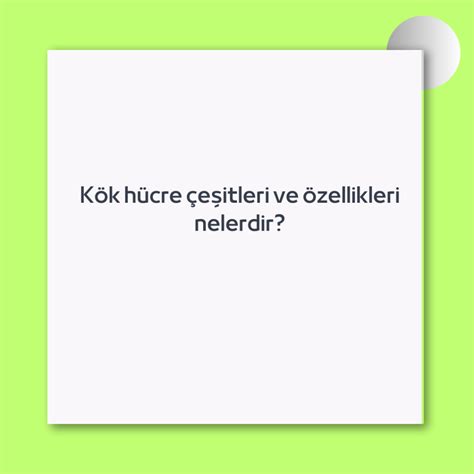 Kök hücre çeşitleri ve özellikleri nelerdir Ne Demek Zıt Anlamı
