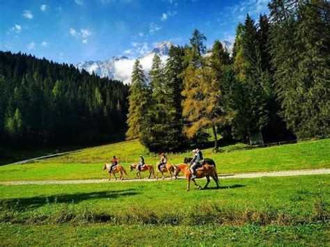 Passeggiata A Cavallo Sulle Dolomiti Di Zoldo Holidoit
