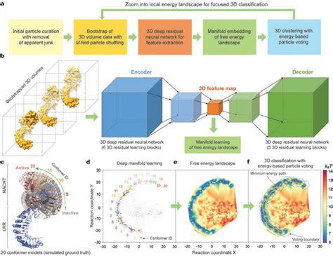 deep manifold learning reveals hidden dynamics of proteasome autoregulation biorxiv