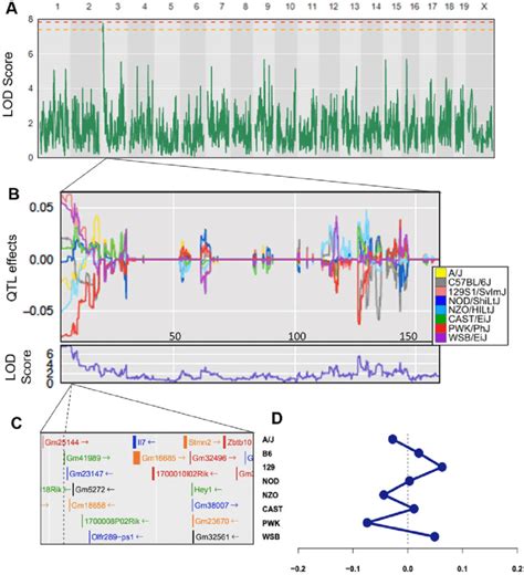quantitative trait locus mapping of serum gdf11 adjusted for sex download scientific diagram