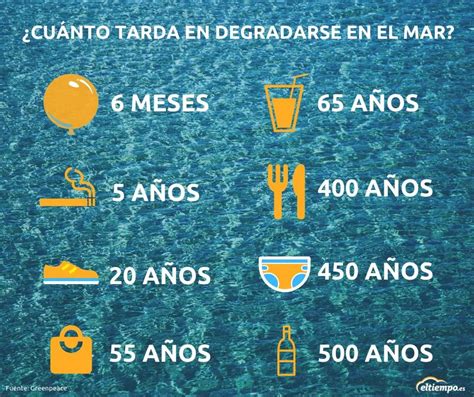 Cuánto tarda en degradarse el plástico en el mar Eltiempo es