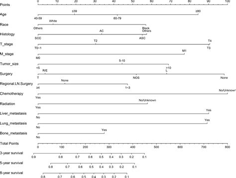 frontiers development and validation of a nomogram for predicting pelvic lymph node metastasis
