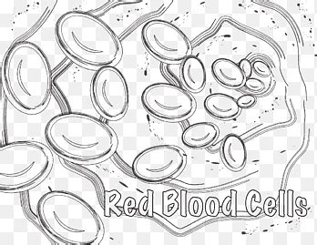 Blood Cells Coloring Pages
