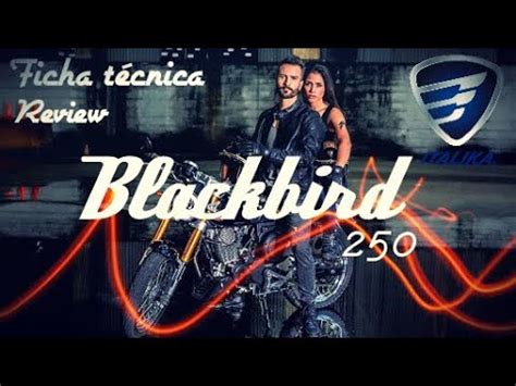 Italika Blackbird 250 LO QUE DEBES SABER FICHA TECNICA Y MÁS