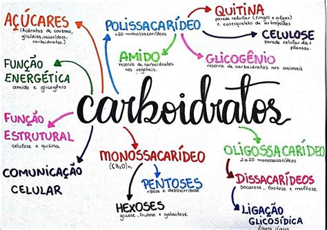 Mapa Mental Sobre Carboidratos Study Maps NBKomputer