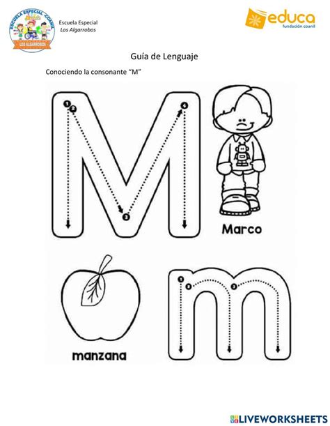 Alphabet Writing Pre Writing Reading Writing Lettering Alphabet