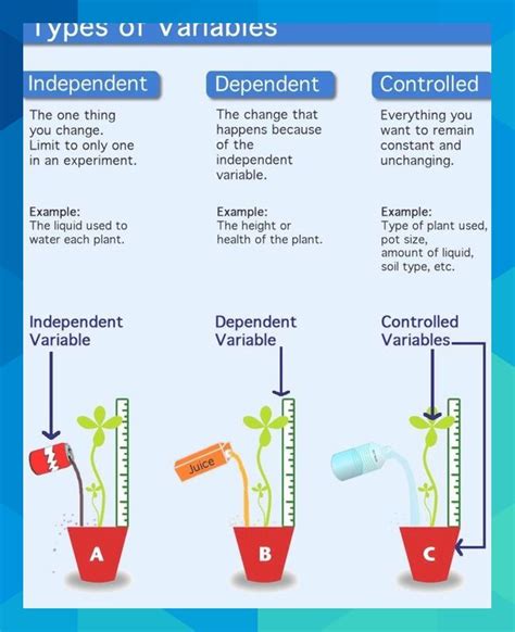 description of independent variable dependent variable and control boccore1996 teaching