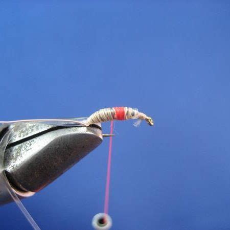 Fly Tying Essentials For Perfect Scud Patterns