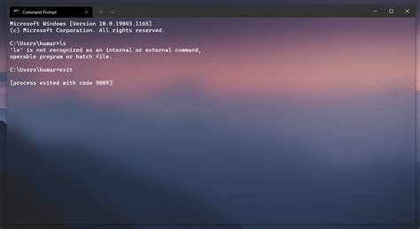 Cmd Process Exited With Code Issue Microsoft Terminal