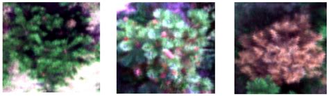 remote sensing free full text exploring the potential of uav based hyperspectral imagery on