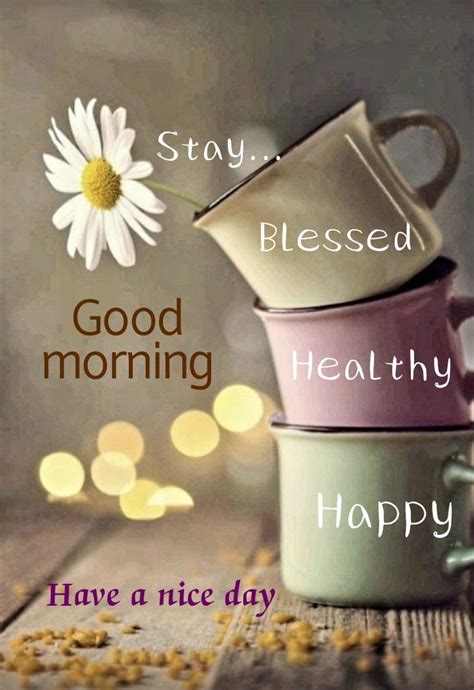 Collection Of Amazing Full 4K Morning Wishes Images With Top 999 Choices