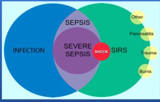 Sepsis Septic Shock Flashcards Quizlet