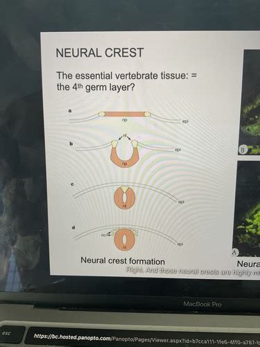 Biol Introduction To Physiology Midterm Exam Study Guide