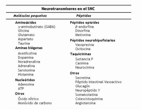 Estructura Del Neurotransmisor Glutamato