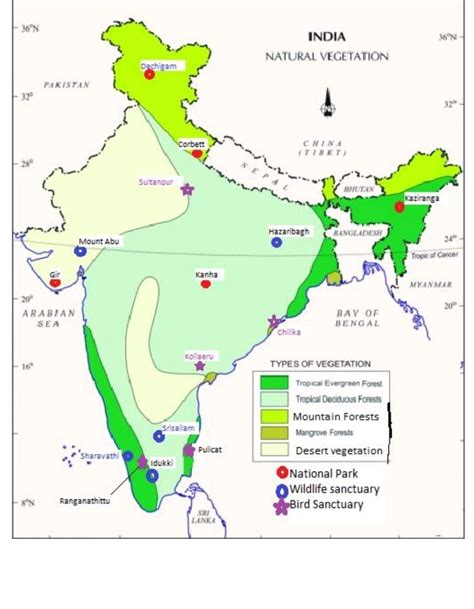 Which Map Shows Vegetationpolitical Map Physical Map Or Thematic Map