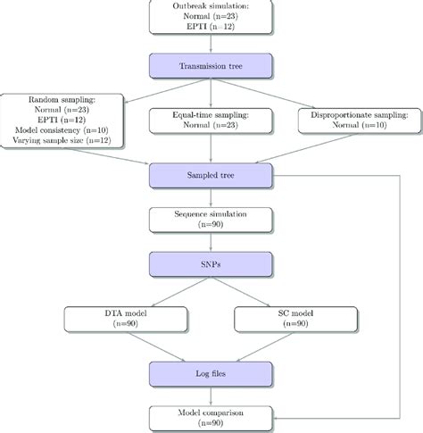 flow diagram of the methods used to compare the sc and dta models using download scientific